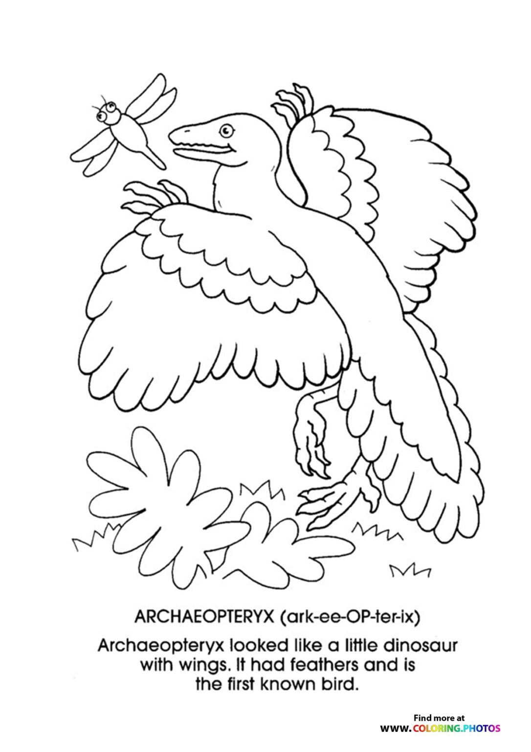 Educational coloring pages | Free Coloring Pages for kids to print and ...