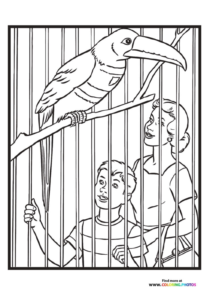 Bird in a zoo - Coloring Pages for kids