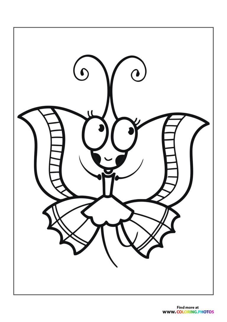 Butterflys - Coloring Pages for kids | Free and easy print or download
