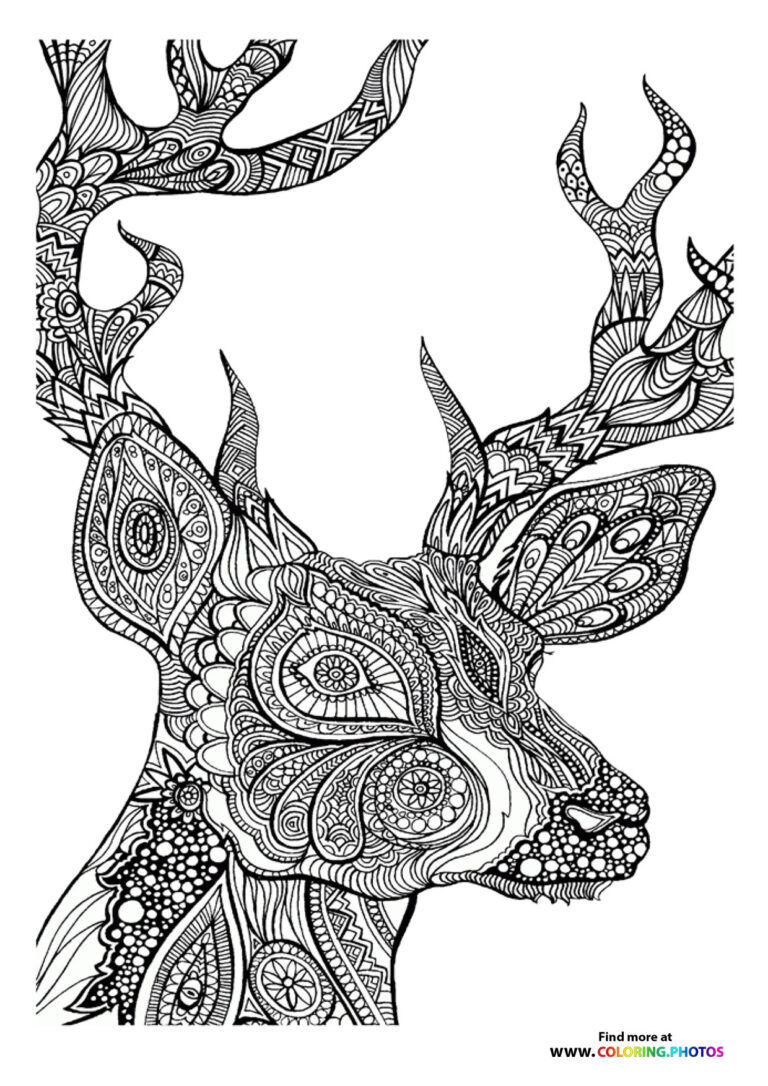 Deer coloring page for adults - Coloring Pages for kids