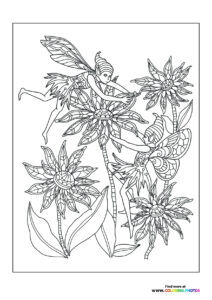 Fairies on flowers - Coloring Pages for kids