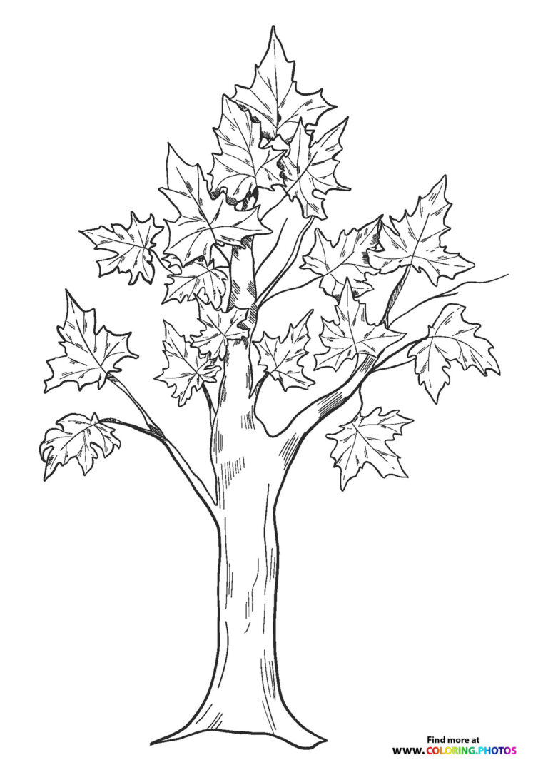 Fall oak tree - Coloring Pages for kids