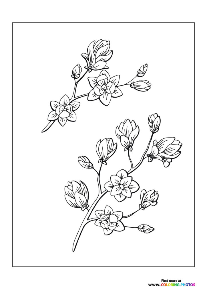 Flowers - Coloring Pages for kids | Free and easy print or download