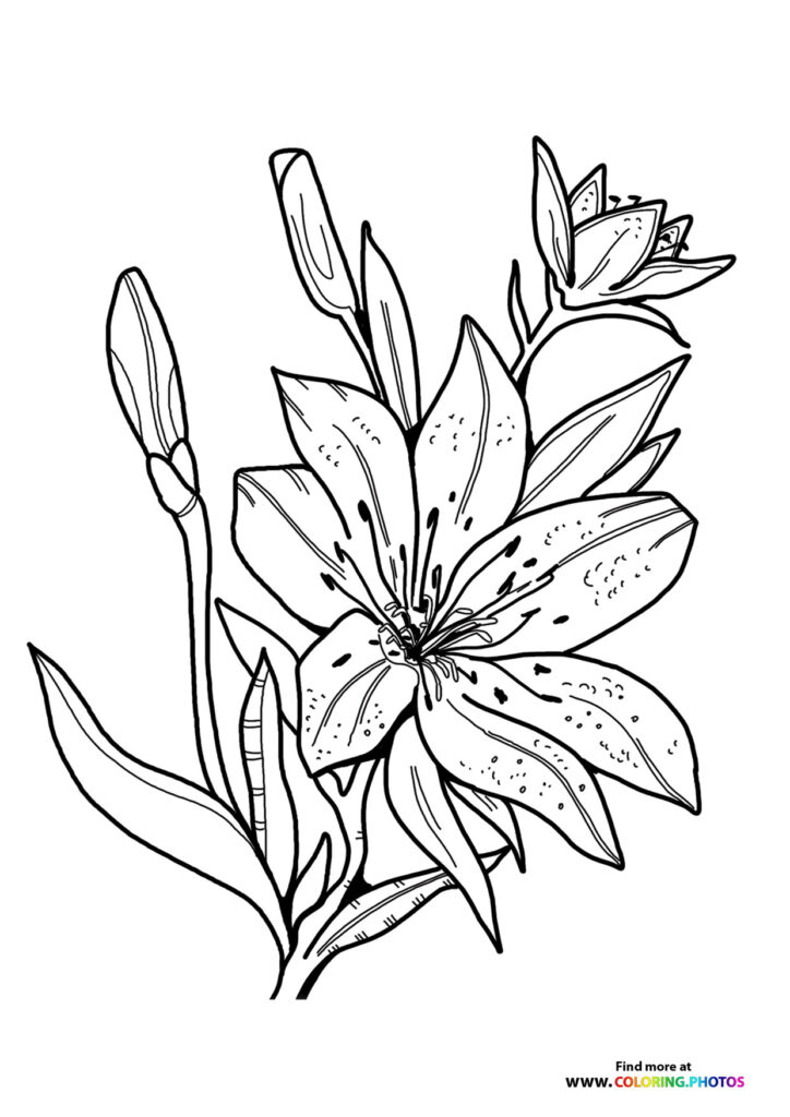 Easter flowers - Coloring Pages for kids | Free and easy print or download