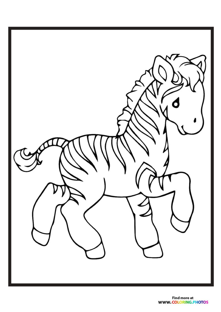 Little zoo zebra - Coloring Pages for kids