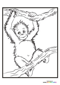 Zoo animals - Coloring Pages for kids | Free and easy print or download