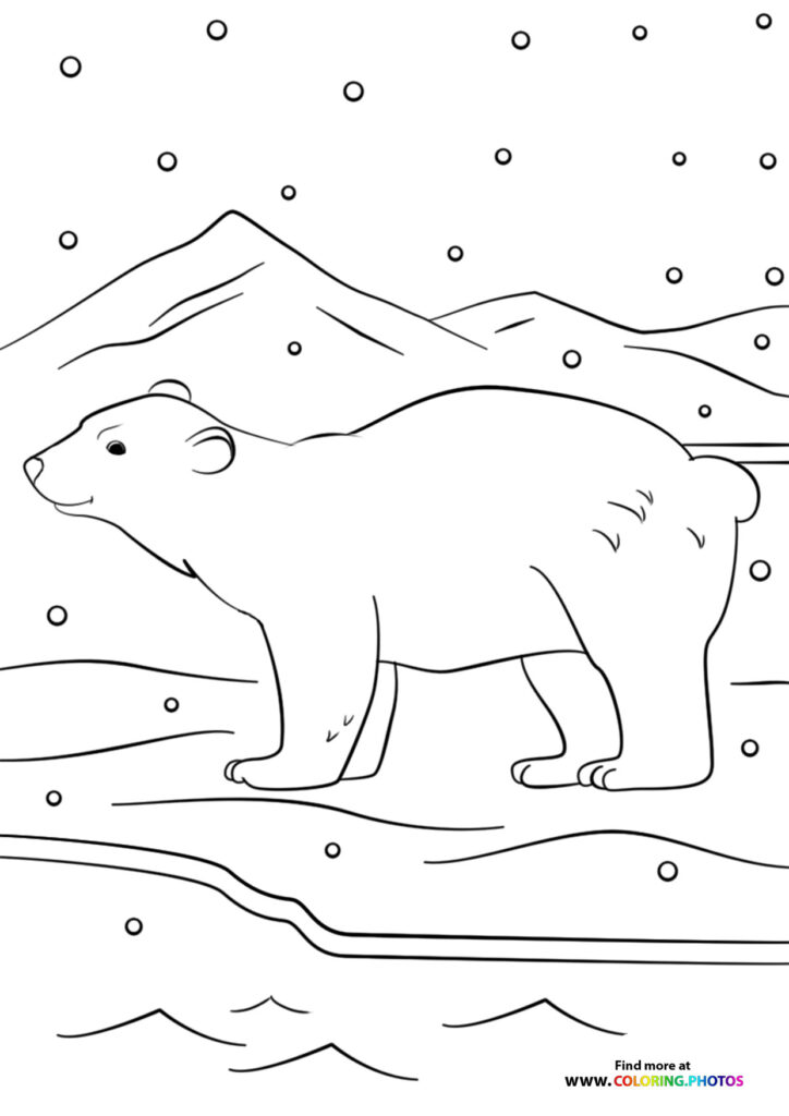 Winter polar bear - Coloring Pages for kids