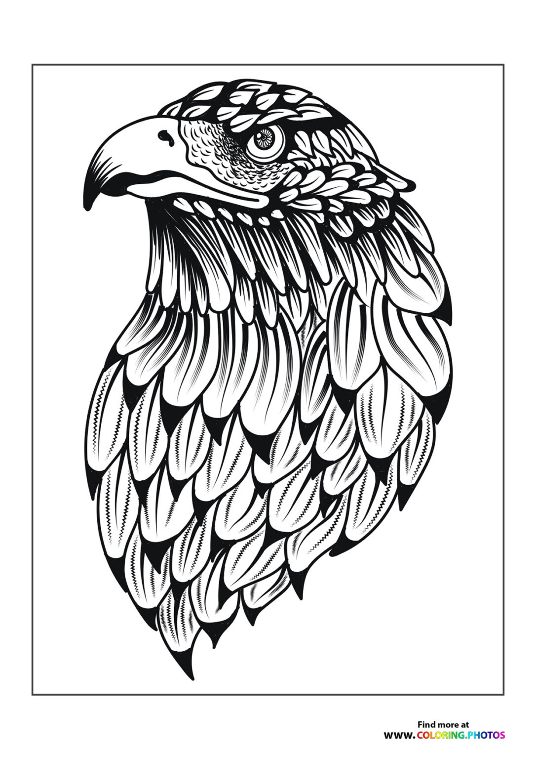 Eagles - Coloring Pages for kids | Free and easy print or download