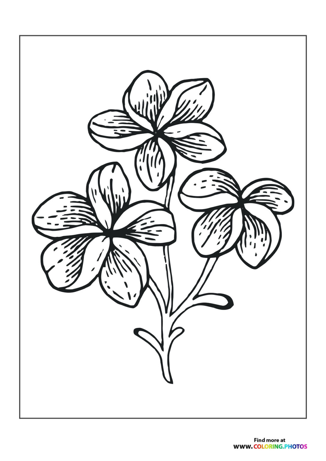 Three flowers - Coloring Pages for kids