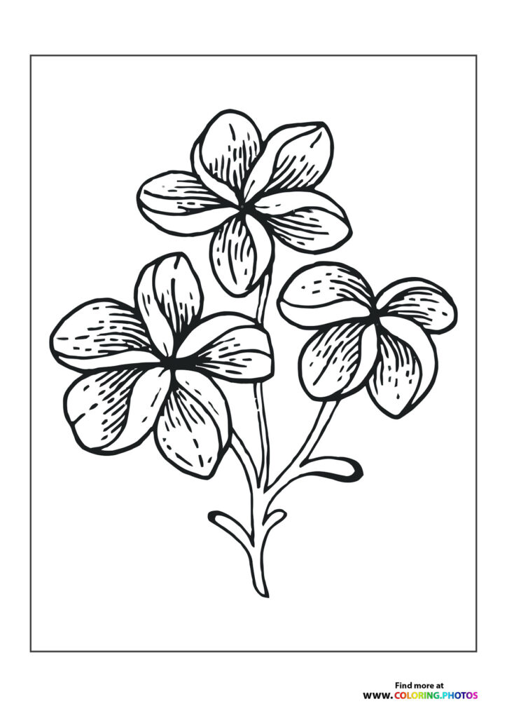 Three flowers - Coloring Pages for kids