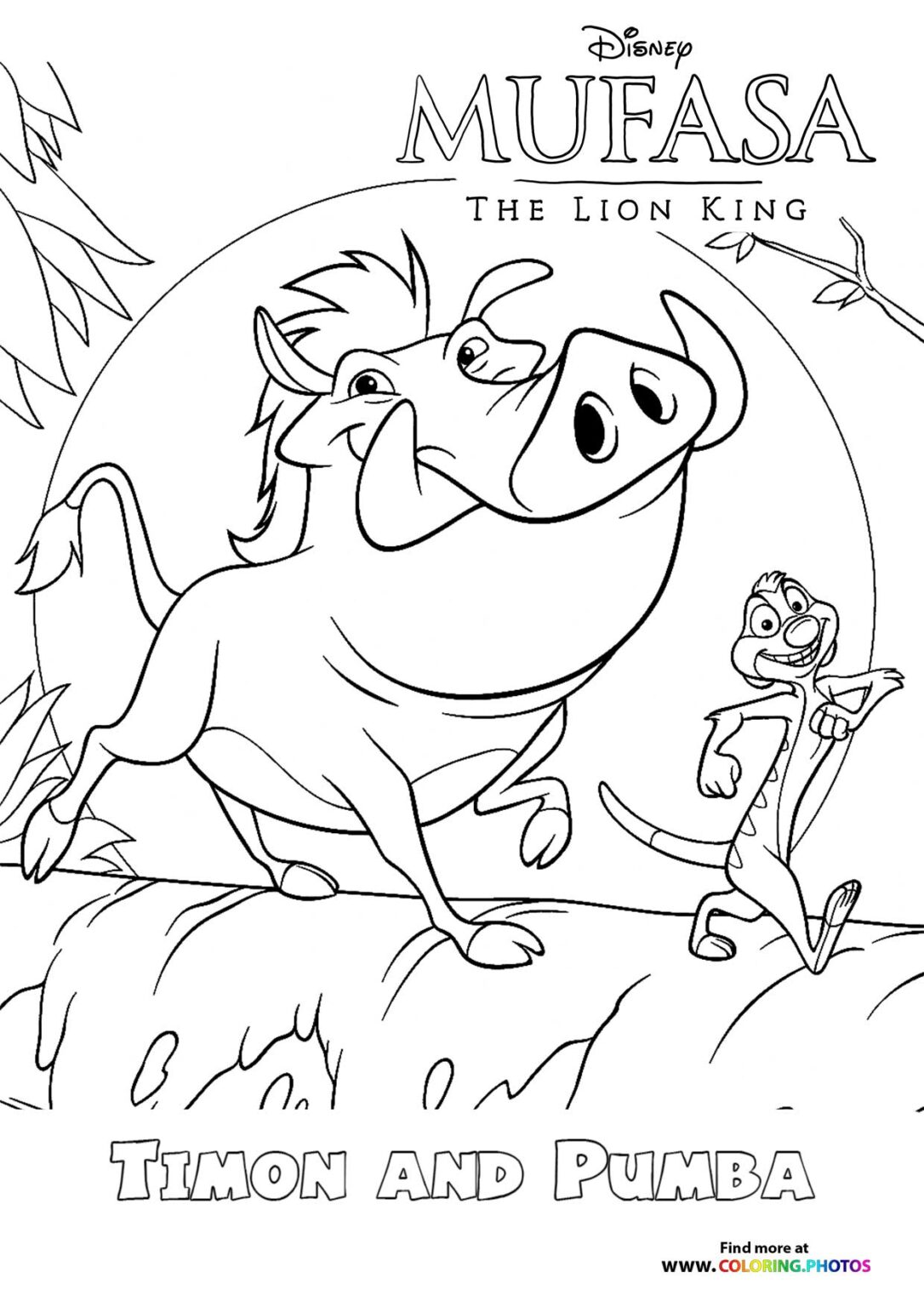 Timon and Pumba from Mufasa the Lion King - Coloring Pages for kids