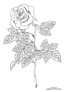 Valentines rose - Coloring Pages for kids