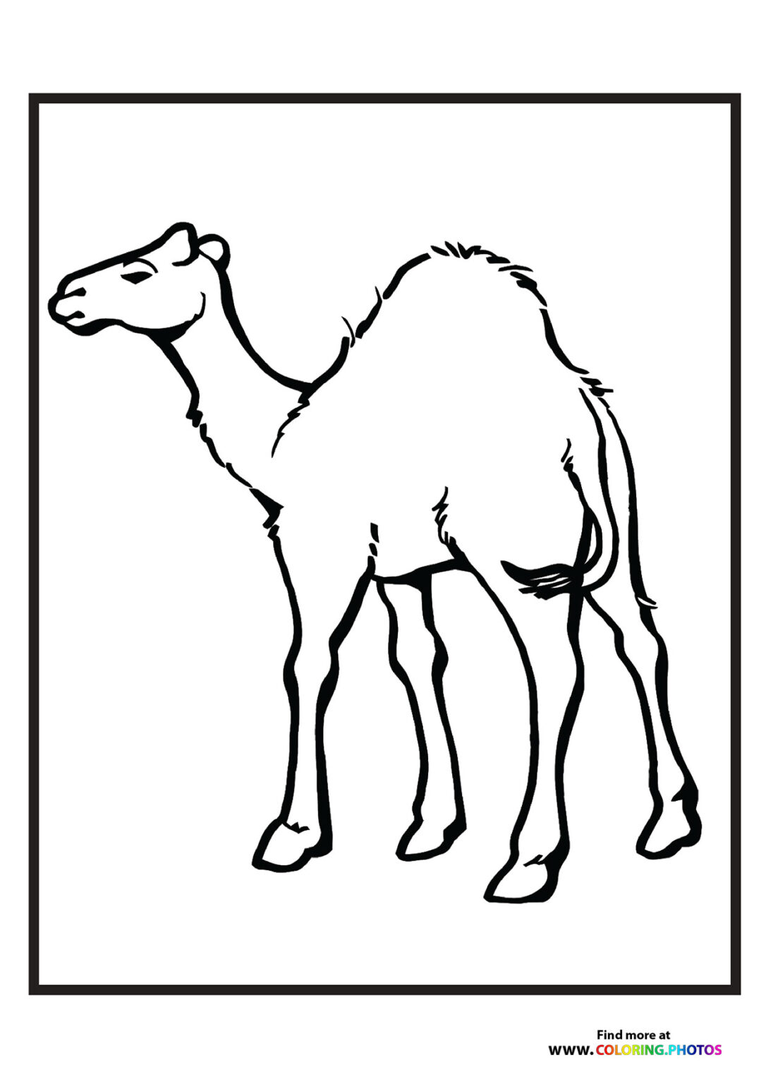 Zoo animals - Coloring Pages for kids | Free and easy print or download