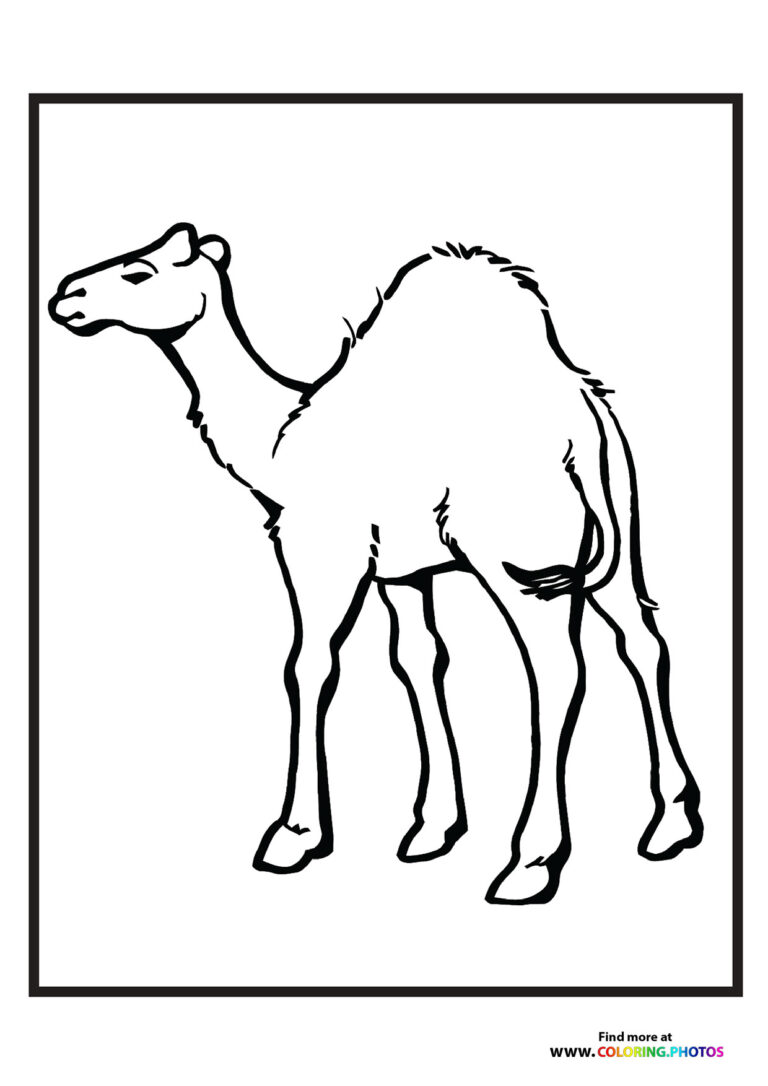Zoo animals - Coloring Pages for kids | Free and easy print or download