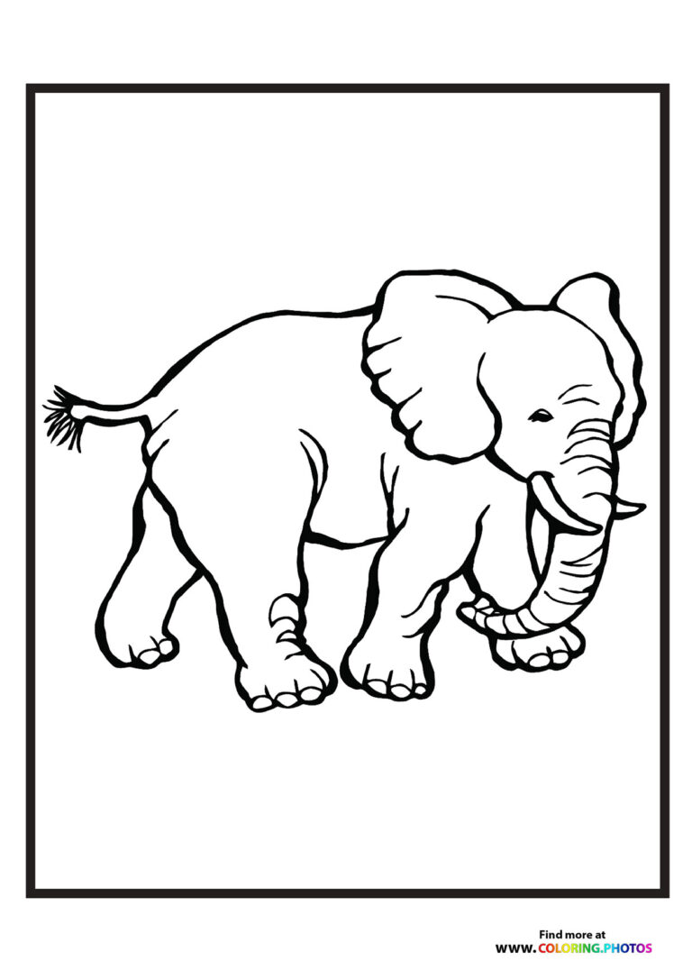 Zoo animals - Coloring Pages for kids | Free and easy print or download