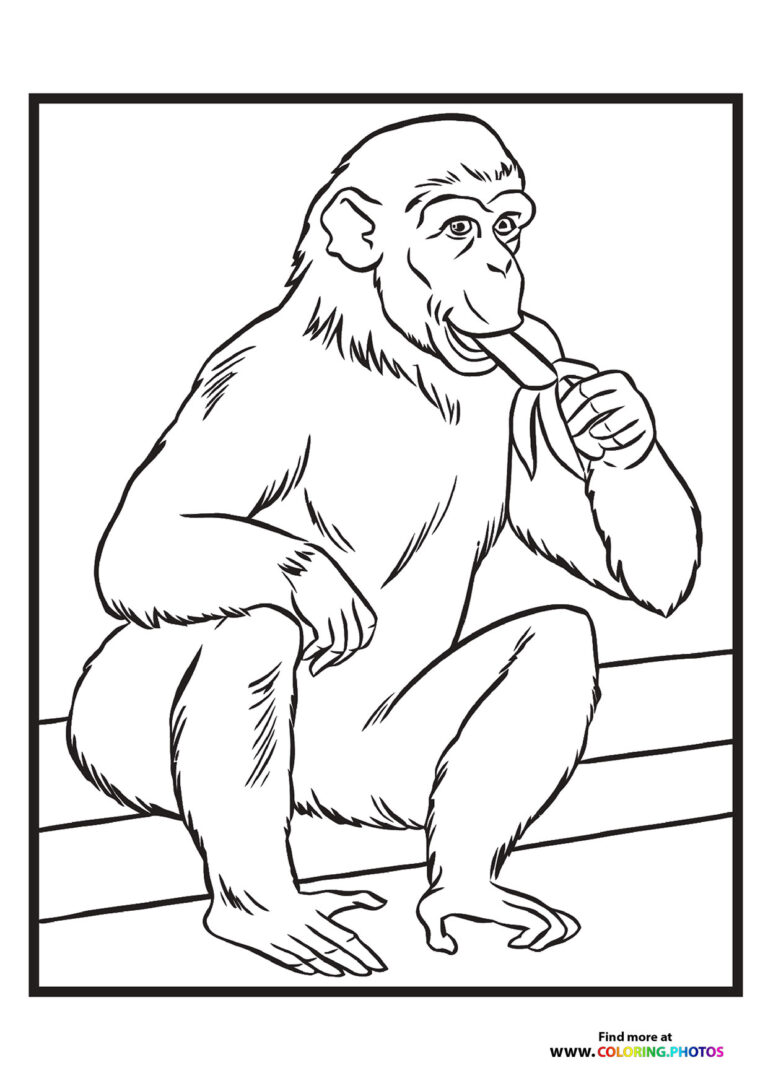 Zoo animals - Coloring Pages for kids | Free and easy print or download