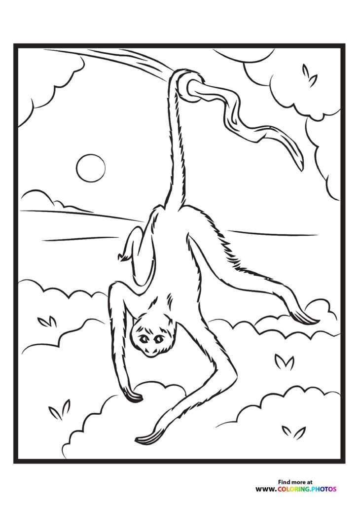 Zoo sloth - Coloring Pages for kids