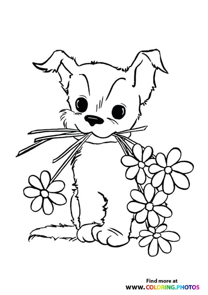 Bird in flowers - Coloring Pages for kids