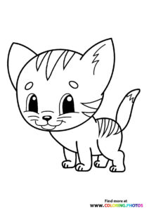 Cat in a box - Coloring Pages for kids