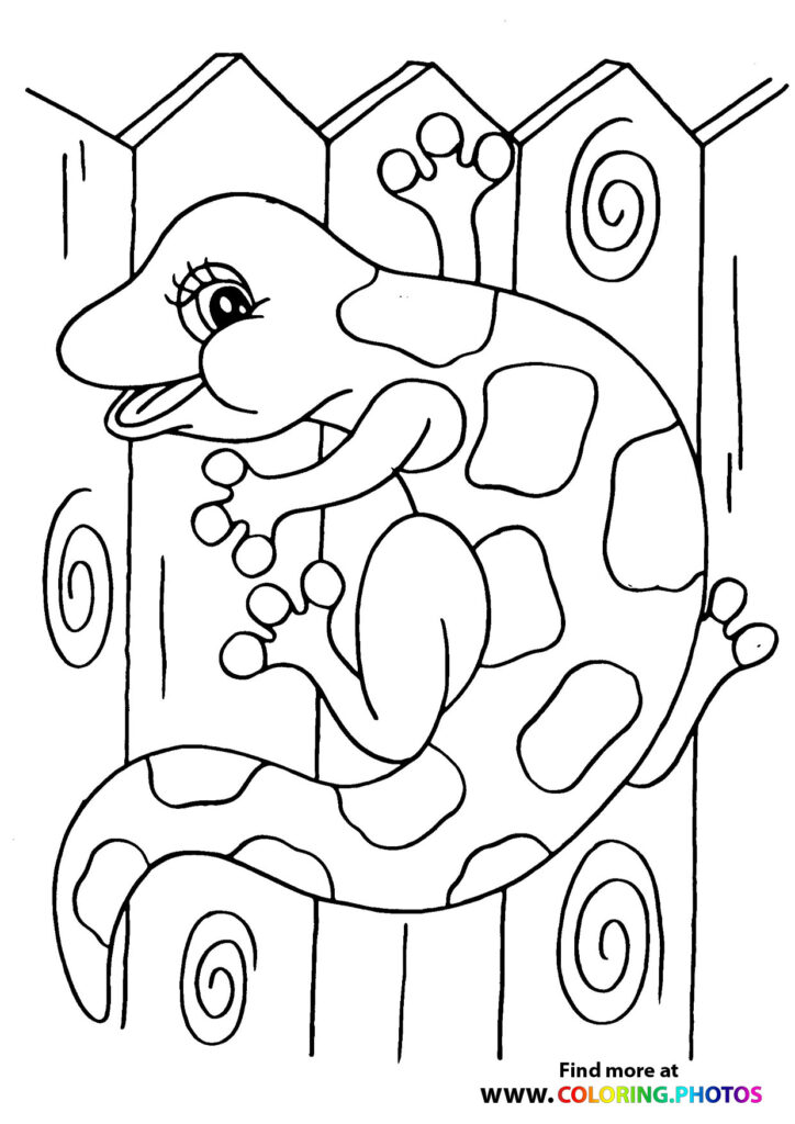 Lizards - Coloring Pages for kids