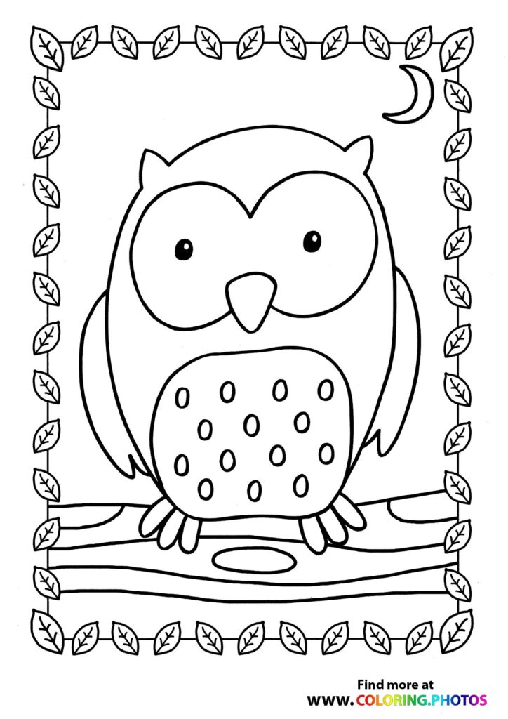 Owls - Coloring Pages for kids